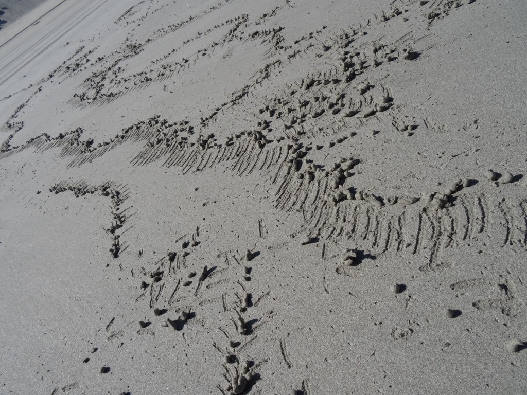 OMAN - Ras Markaz beach, a stretch of white sand near Duqm you cannot ...