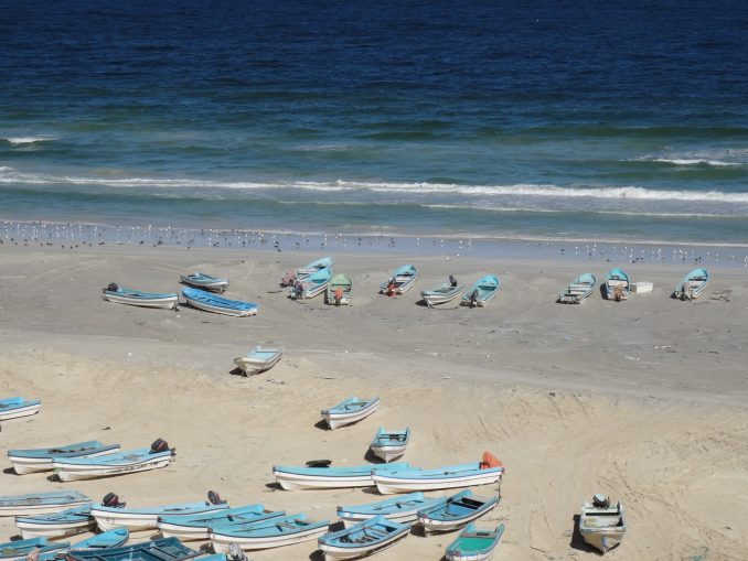 OMAN - Ras Markaz beach, a stretch of white sand near Duqm you cannot ...