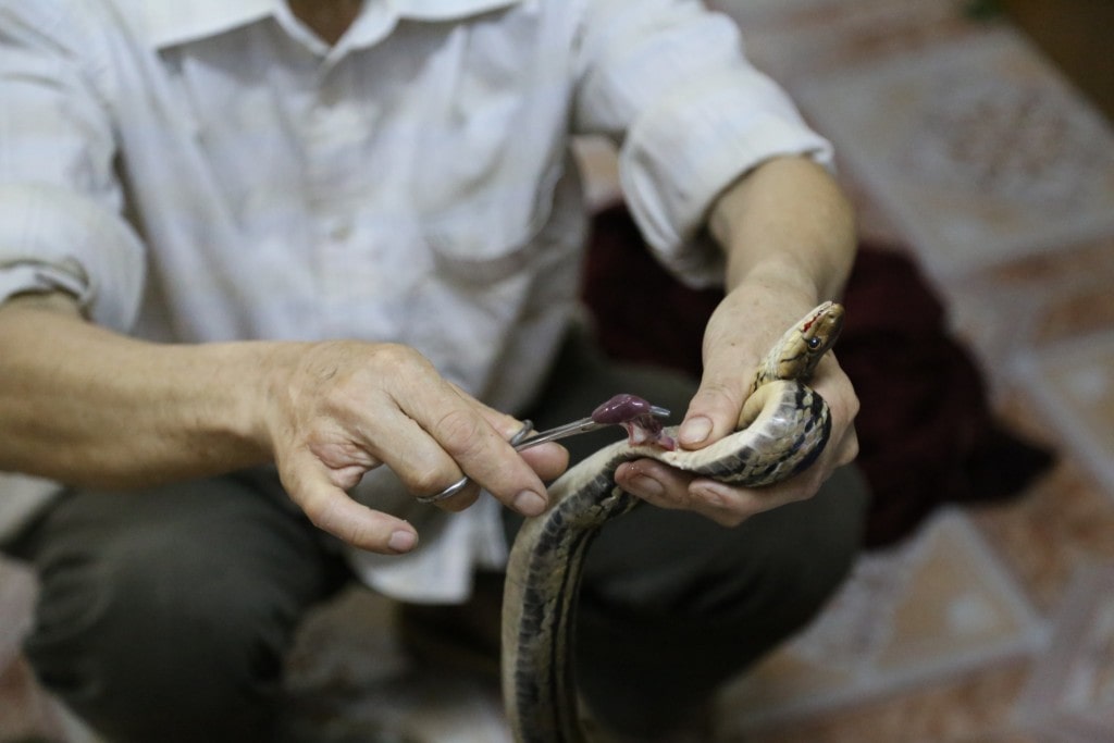 VIETNAM - Live snake in Hanoi, a beating heart! – Chris Travel Blog ...