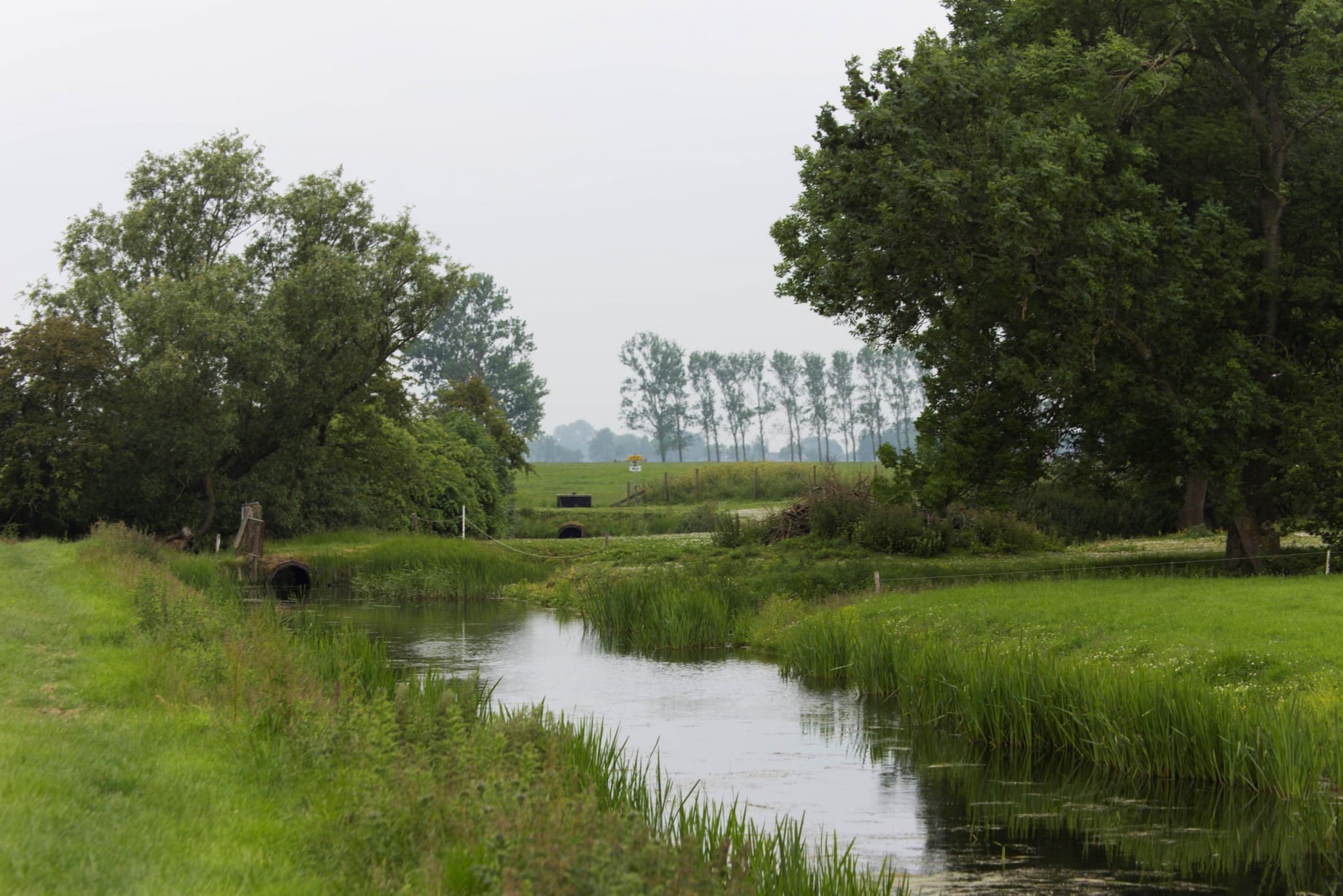 NETHERLANDS - Beautiful nature at Lauwersmeer & the Pieterpad walking trail