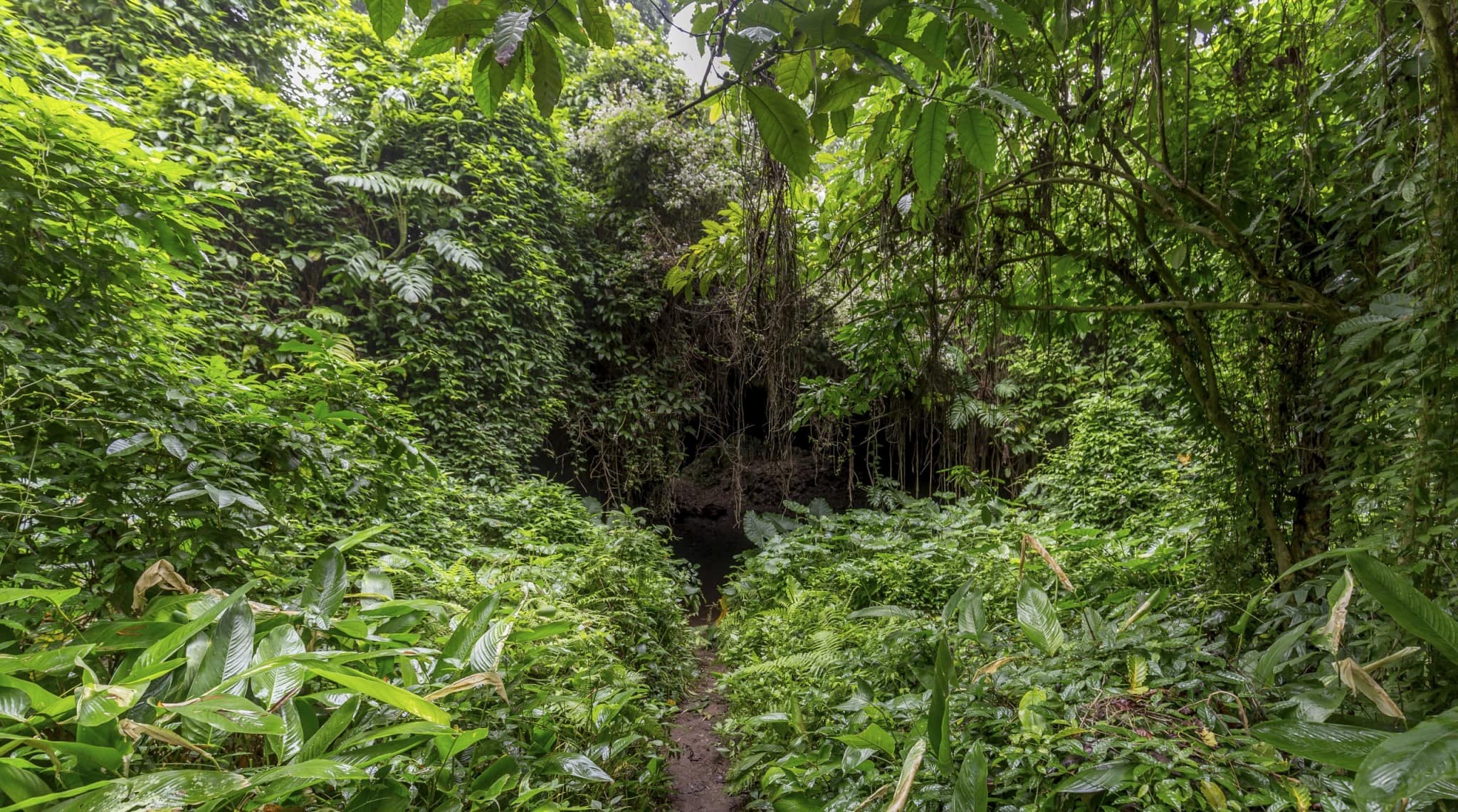 CHINA - A day trip to Haikou Volcano Park & lava villages with caves ...