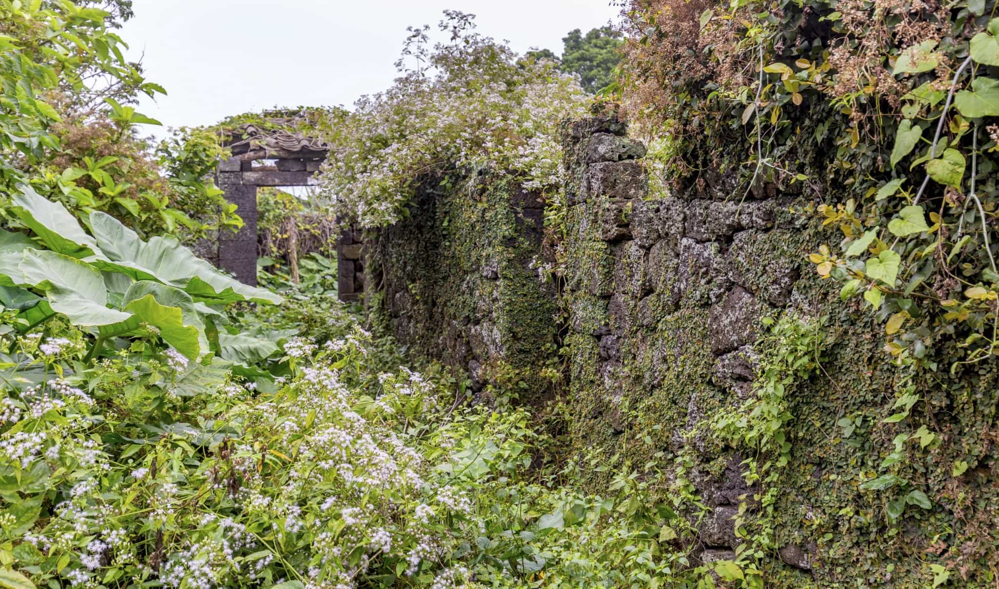 CHINA - A day trip to Haikou Volcano Park & lava villages with caves ...
