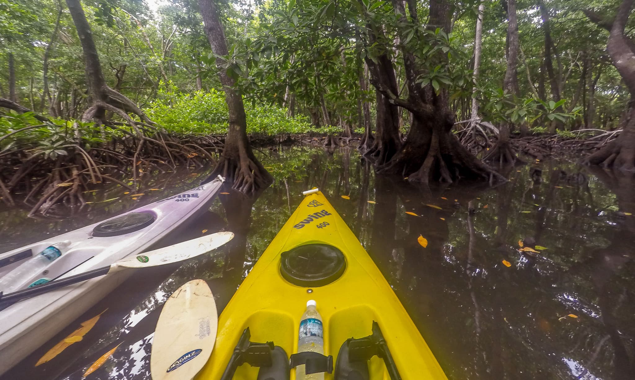 PACIFIC - Ultimate 14 days Pacific island hopping itinerary: Palau, Yap ...