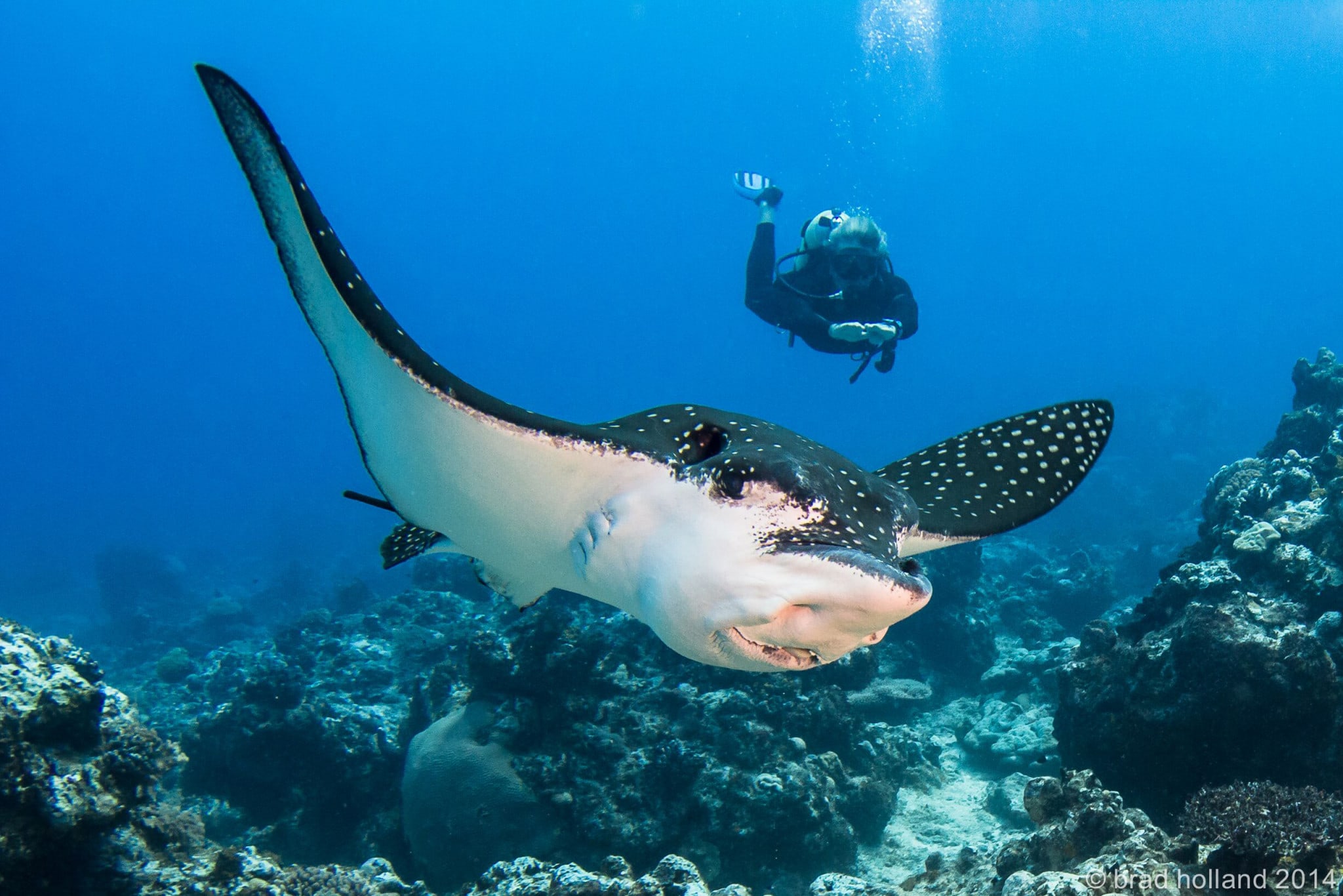 MICRONESIA FSM - Manta Ray Bay Resort Yap on remote Yap Island is a ...
