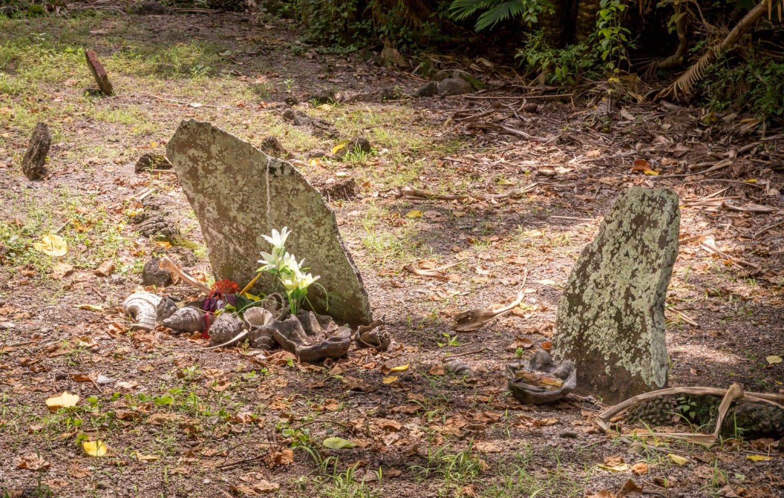 VANUATU - Chief Roi Mata’s Domain tour; must do day trip from Port Vila ...