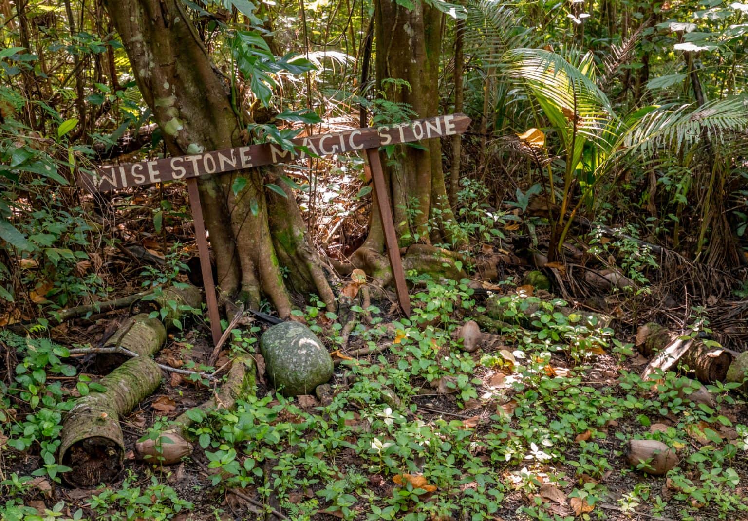 VANUATU - Chief Roi Mata’s Domain tour; must do day trip from Port Vila ...