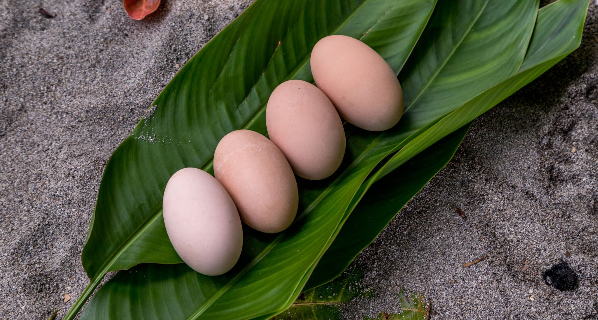 SOLOMON ISLANDS - Savo Island day trip from Honiara (Guadalcanal ...