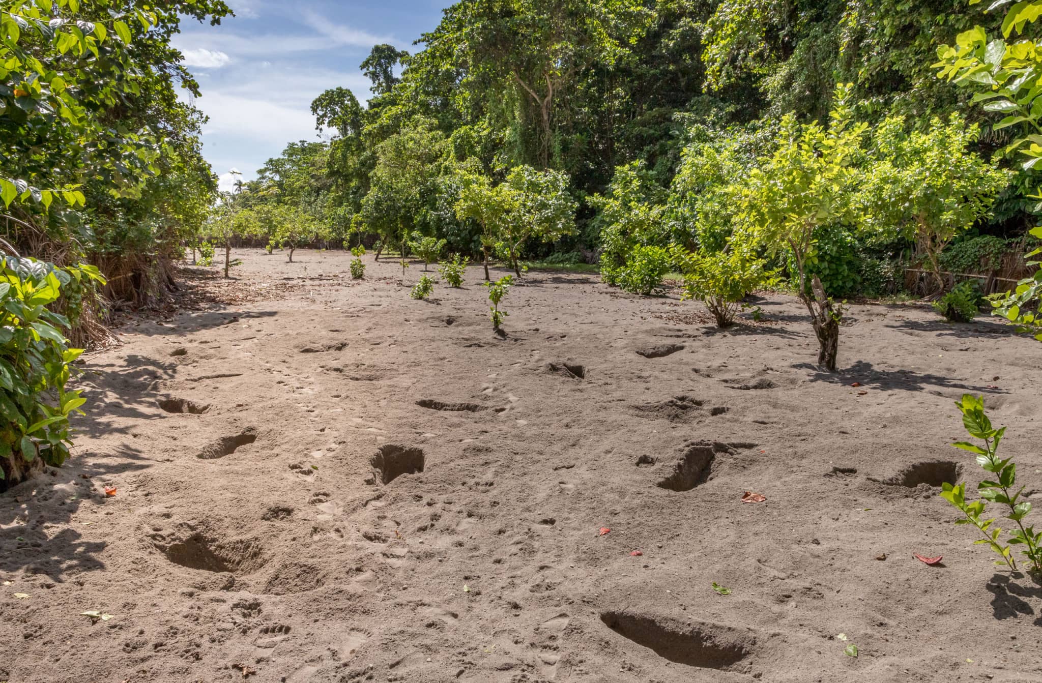 SOLOMON ISLANDS - Savo Island day trip from Honiara (Guadalcanal ...