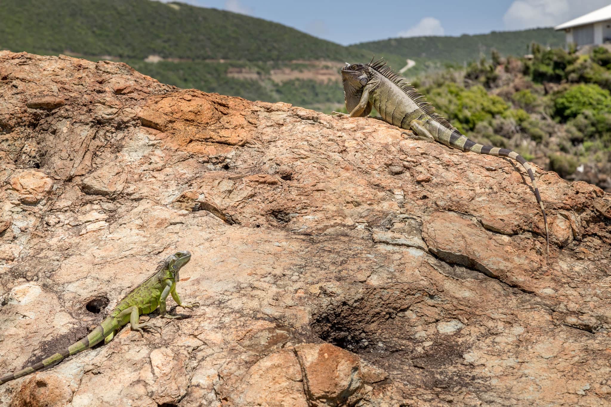 CARIBBEAN - 2 weeks St. Maarten itinerary & island-hopping guide to St ...