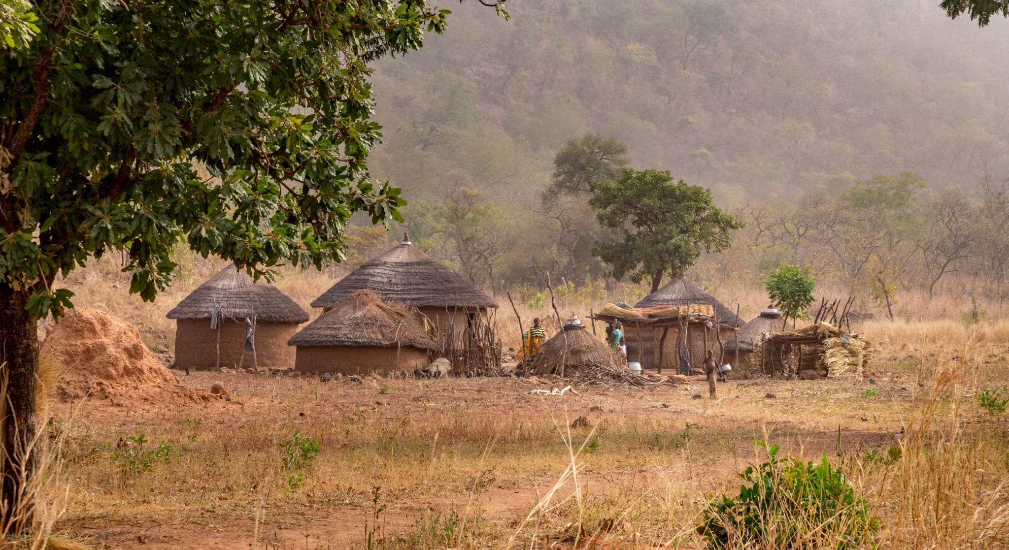 BENIN - Ultimate 2-week Benin itinerary: Culture, nature safari, voodoo ...