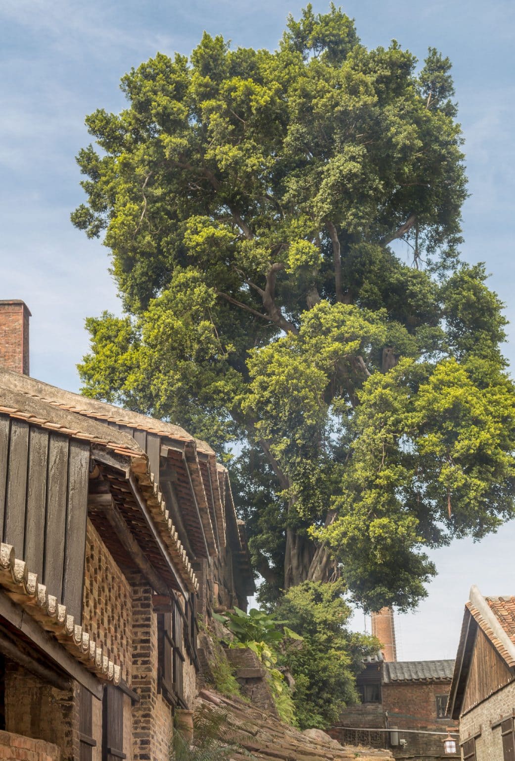 CHINA - Foshan itinerary for a day trip with top things to do and see ...