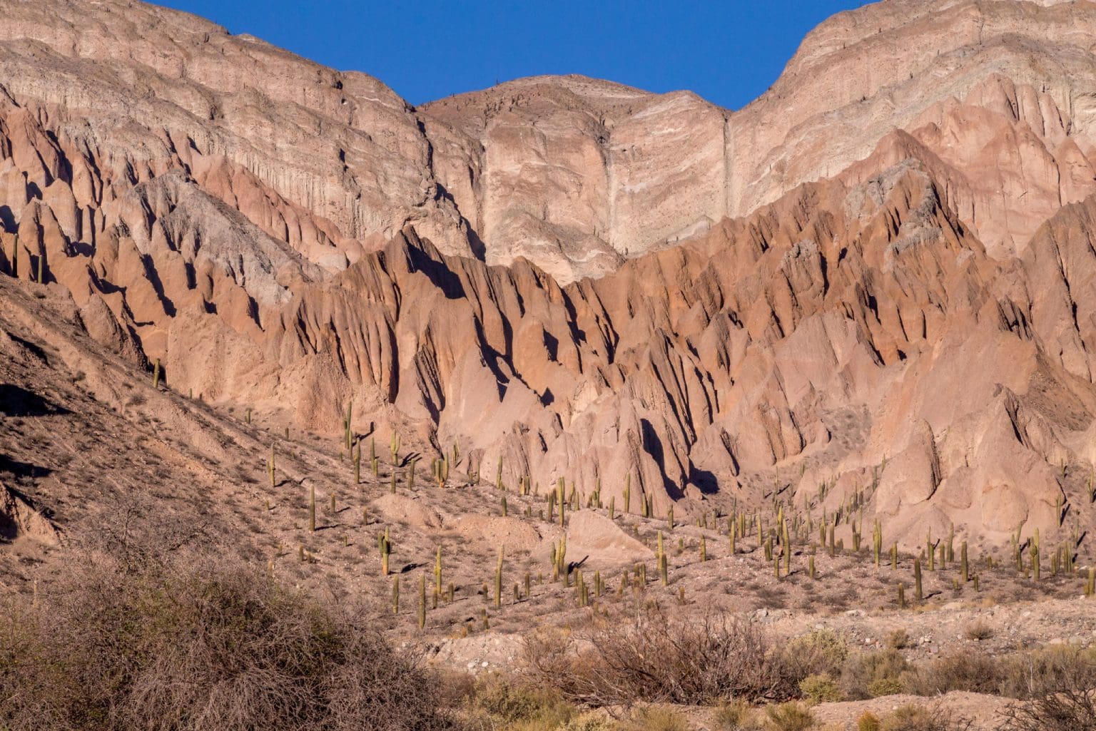 ARGENTINA - Train to the Clouds; a must-do ride in the Andes near Salta ...