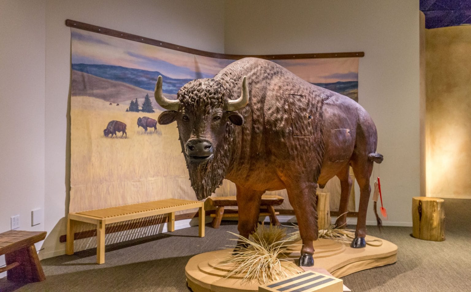 USA - 5 must-see Museums in Denver worth a visit: history, science and ...