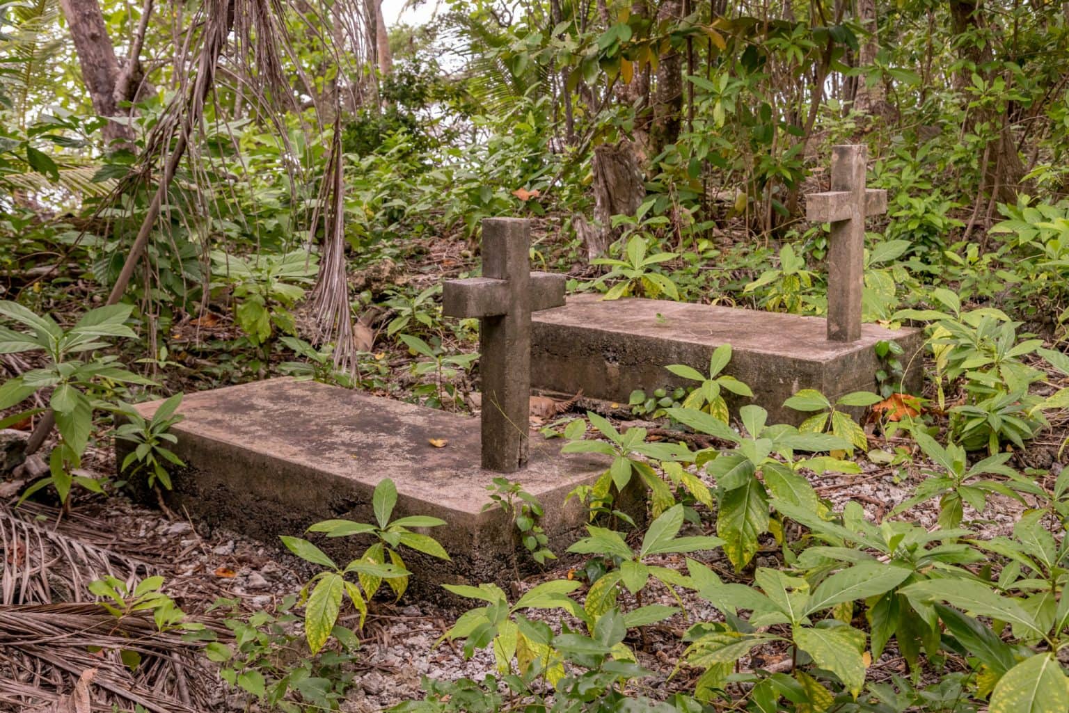 SOLOMON ISLANDS - Skull Island Munda & New Georgia WWII history day ...