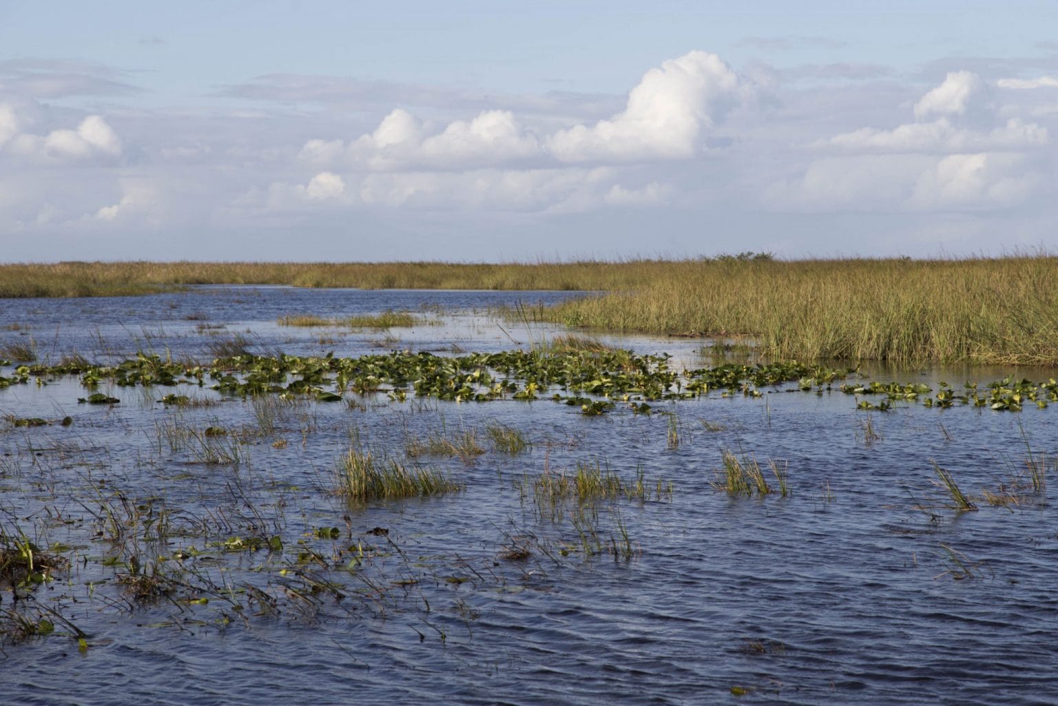 USA - Exploring the Everglades Shark Valley wildlife by bike & air boat ...