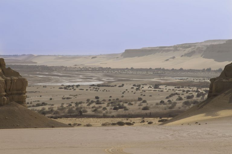 A walk through history at Wadi Al-Hitan Whale Valley - Chris Travel Blog