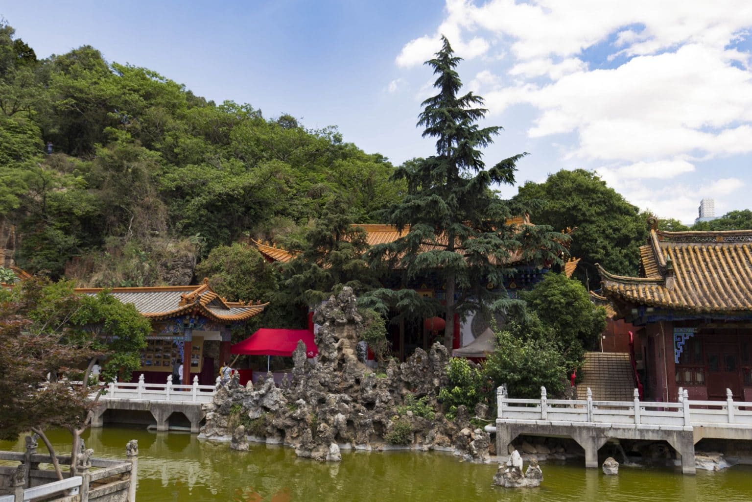CHINA - A day in Kunming, the City of Eternal Spring – Chris Travel ...
