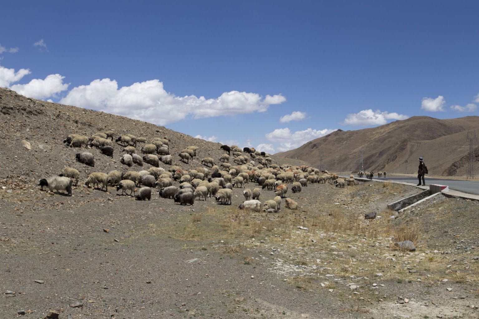 Yamdrok Lake tour from Lhasa and the Karola Glacier and Samding ...