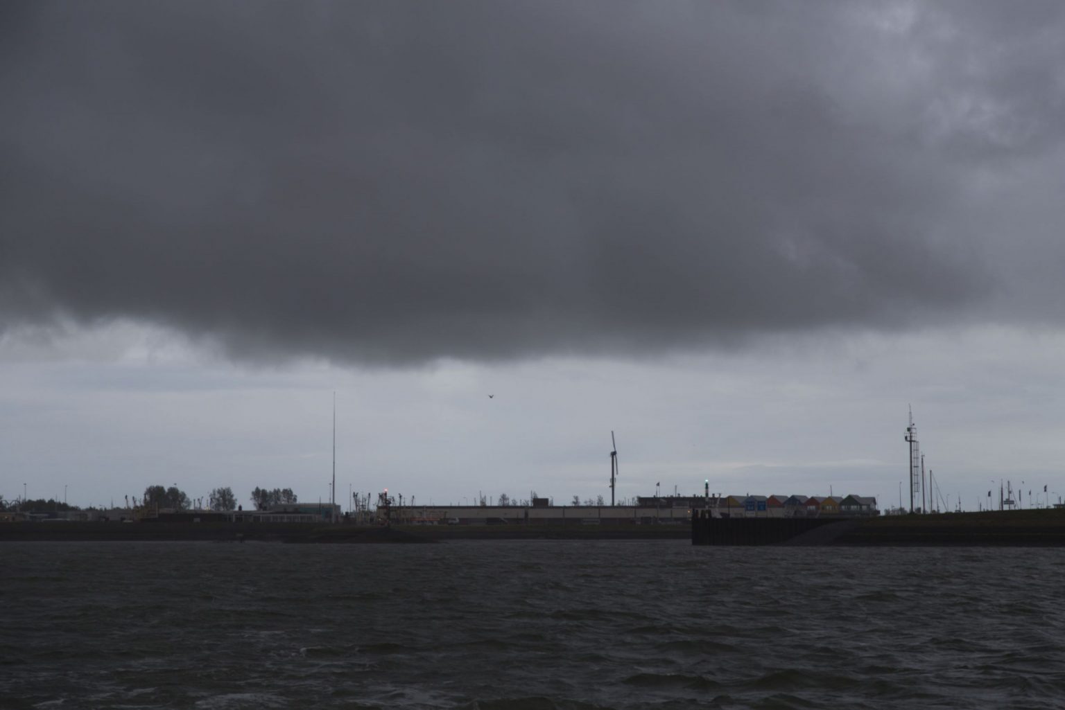 Seals in need and lots of dirty fun at the Waddenzee near Lauwersmeer ...