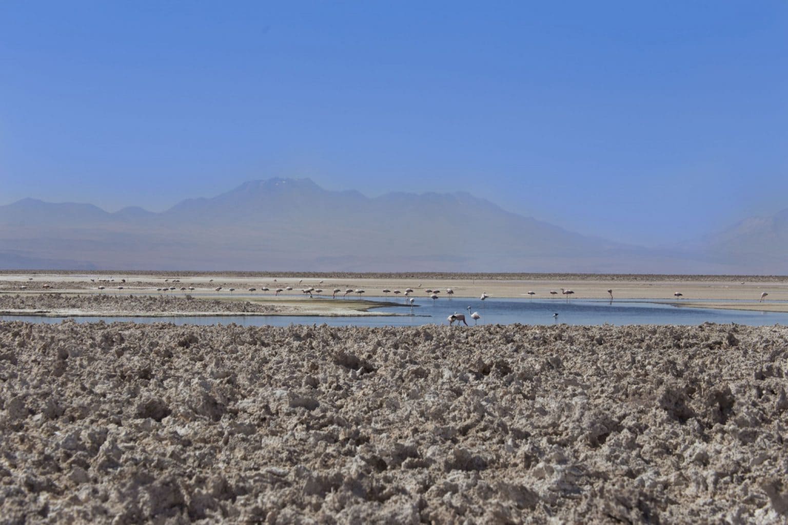 Two Chile salt flats and lunch at 4300m altitude - Chris Travel Blog