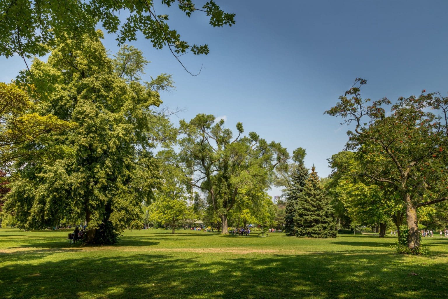 CANADA - A day trip to Toronto Island and the CN Tower – Chris Travel ...