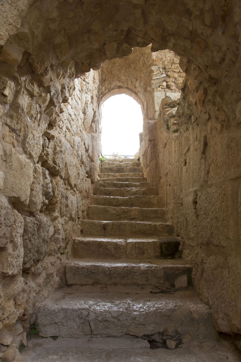 JORDAN - Roman ruins of Jerash, Umm Qais and the Ajlun Castle in a day ...