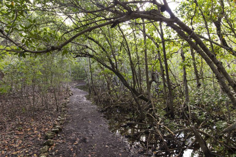 USA - The Florida Keys: Pennekamp Park, Pigeon Key, shooting and the ...