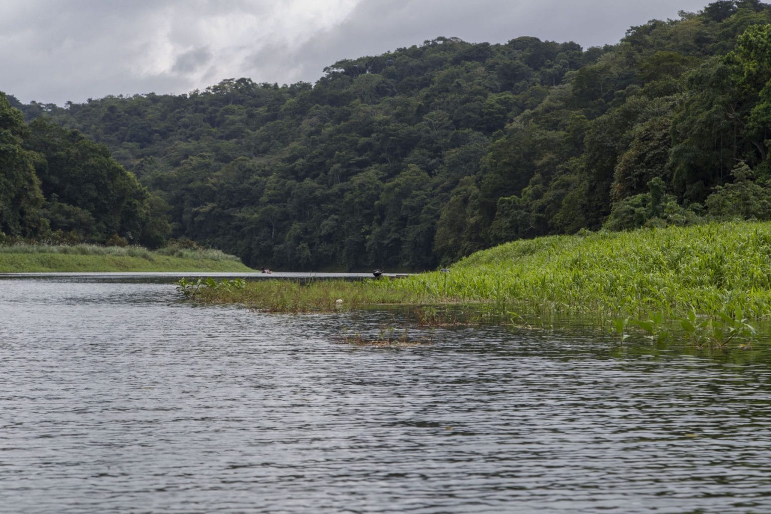 Visiting indigenous Embera tribe in Panama - Chris Travel Blog