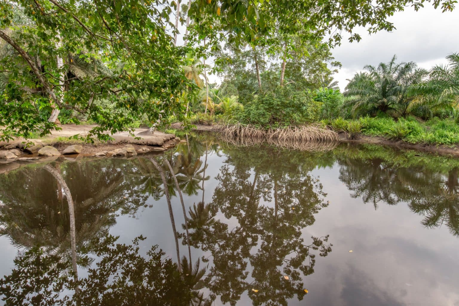 EQUATORIAL GUINEA - Best 10 day itinerary with island marvels and ...