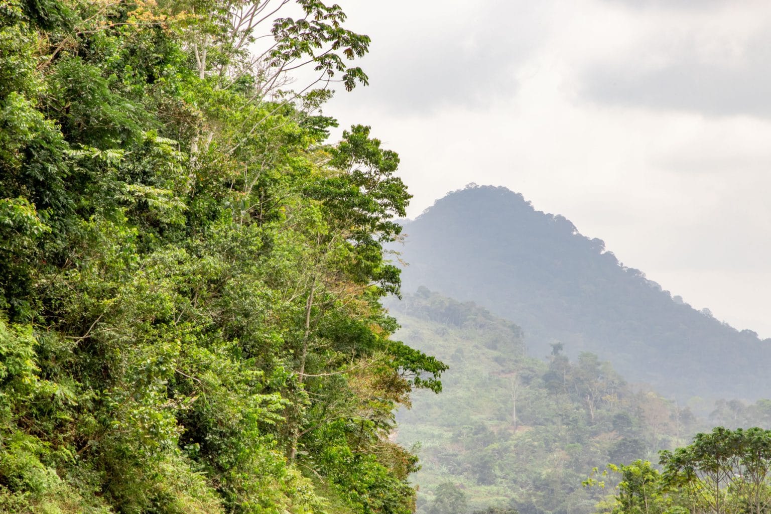 EQUATORIAL GUINEA - Best 10 day itinerary with island marvels and ...