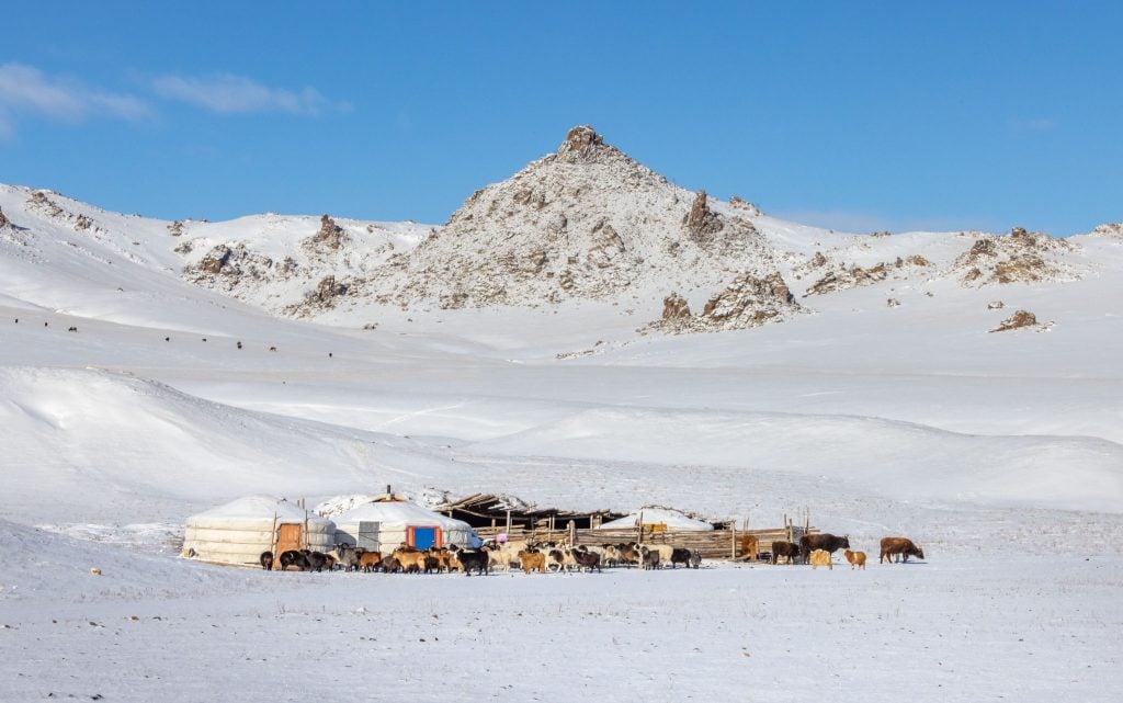 MONGOLIA - Itinerary for a thrilling winter expedition through snow and ...