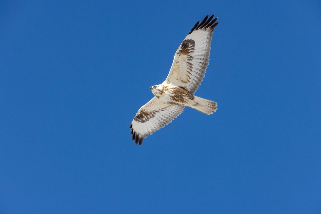 MONGOLIA - Itinerary for a thrilling winter expedition through snow and time visiting UNESCO ...