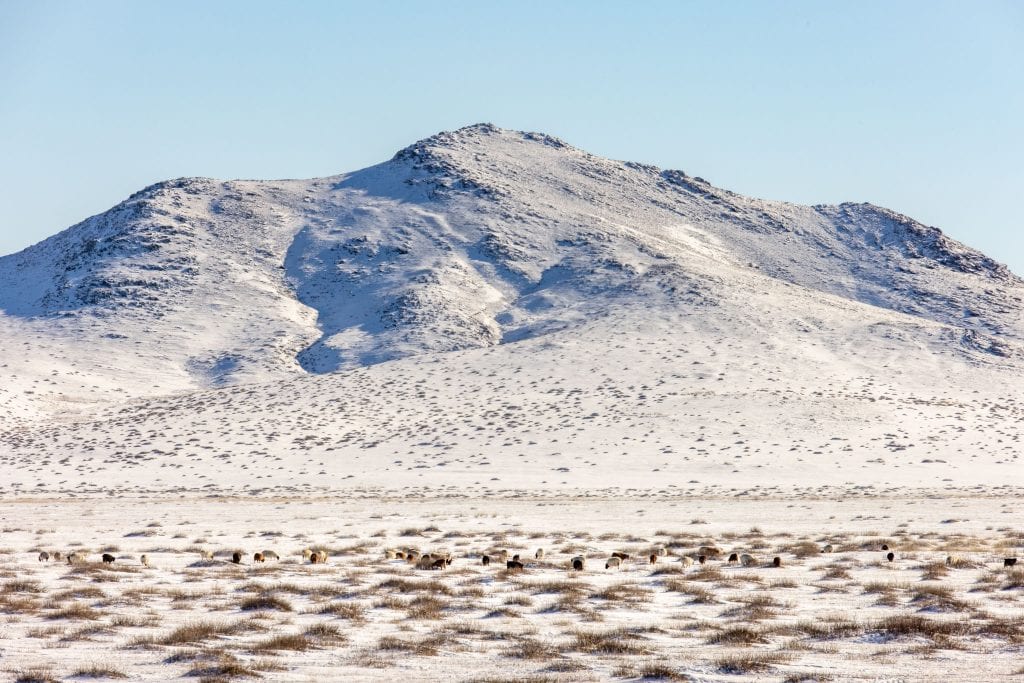 MONGOLIA - Itinerary for a thrilling winter expedition through snow and ...