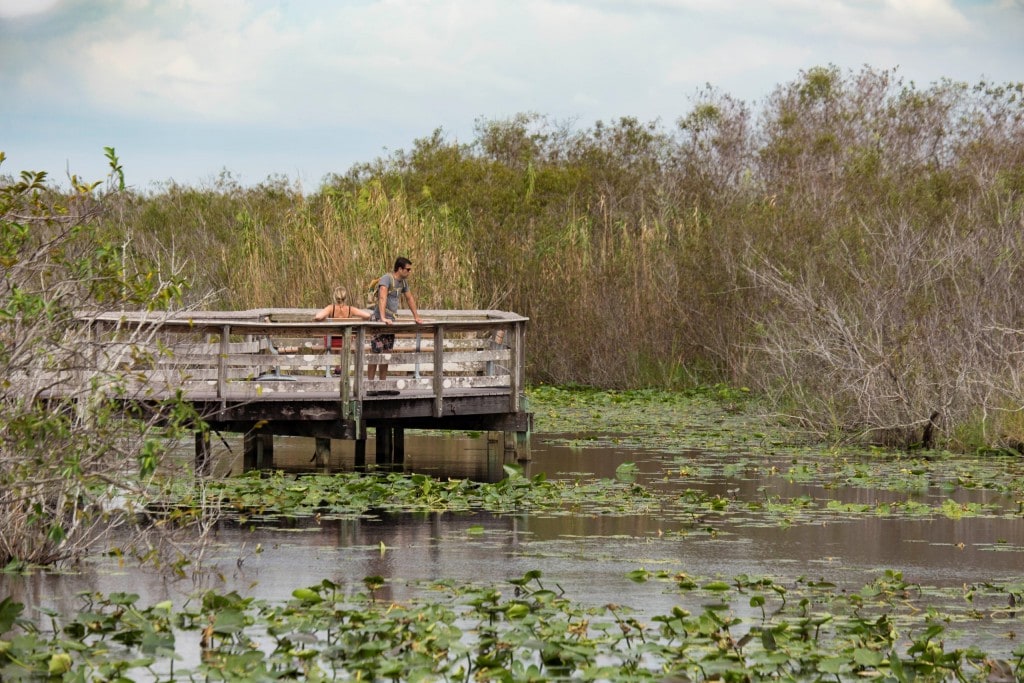 USA - The Everglades main road: 7 trails through different eco-systems ...