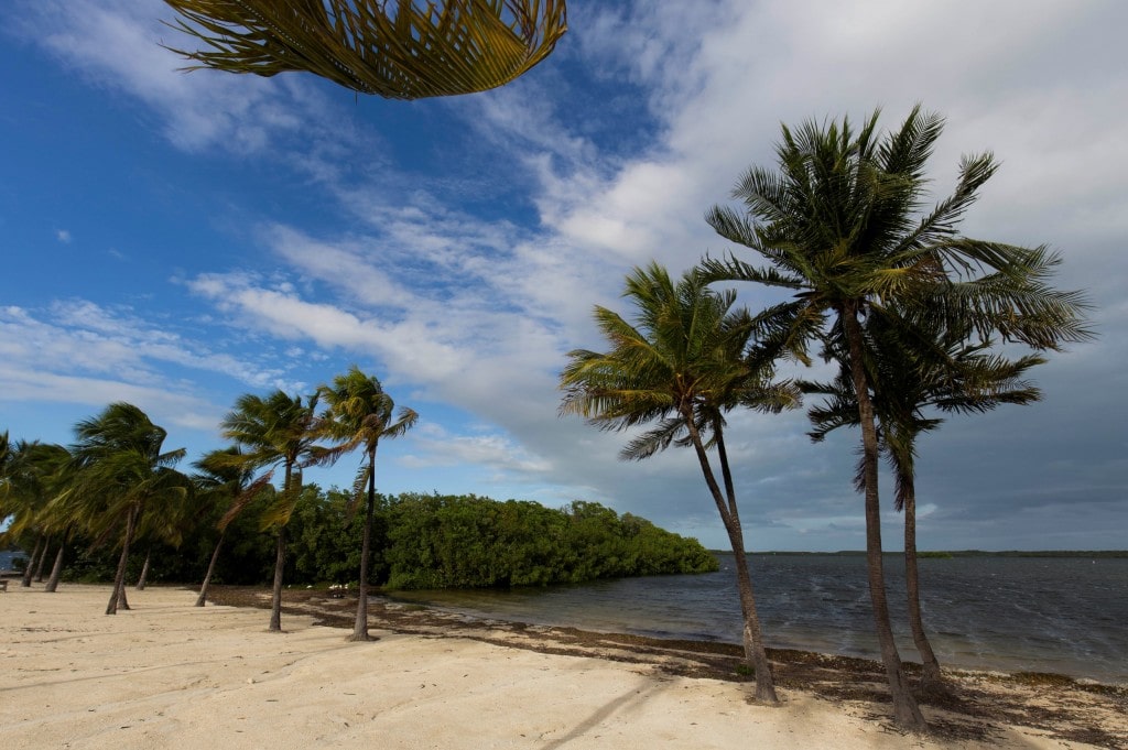 USA - The Florida Keys: Pennekamp Park, Pigeon Key, shooting and the ...